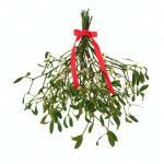 Mistletoe for Medicine