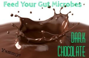 Dark Chocolate and Your Gut: The Final Verdict