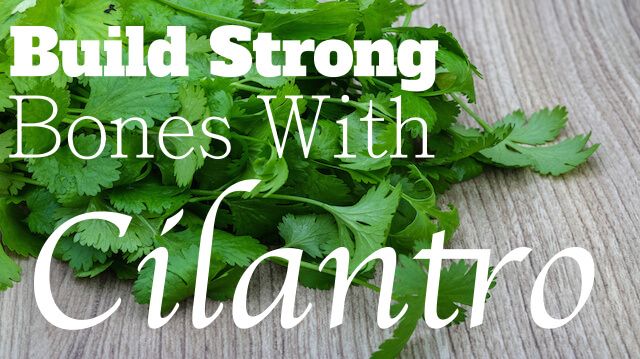 Building Strong Bones, Teeth & More with Cilantro
