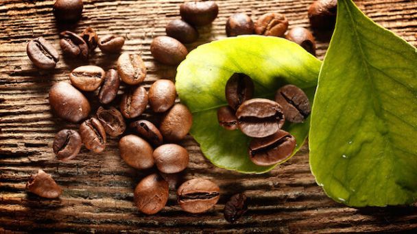 Destroy Free Radicals and 9 Other Reasons to Drink Coffee Leaf Tea