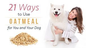 21 Ways to Use Oatmeal for You and Your Dog