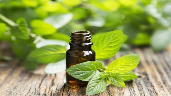 6 Essential Oils That Combat Dementia