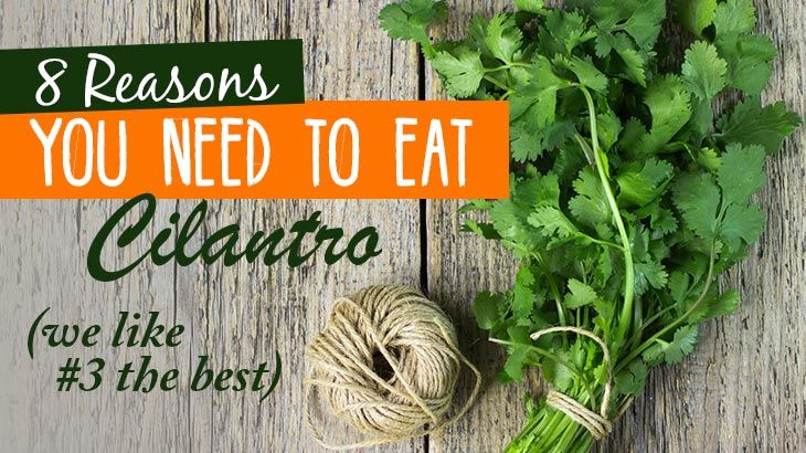 8 Reasons You Need To Eat Cilantro (We Like #3 The Best)