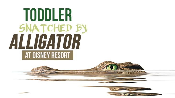 [UPDATED] Toddler Snatched By Alligator At Disney Resort