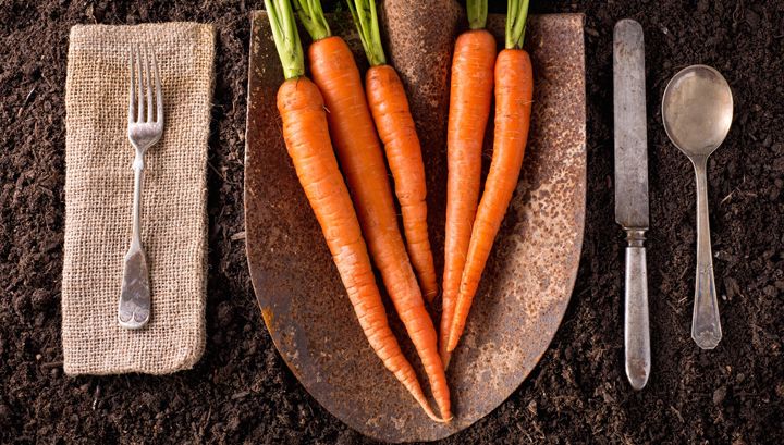 21 Reasons To Eat More Carrots