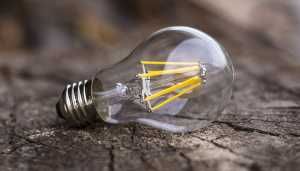 Energy Efficient Light Bulbs Are Toxic