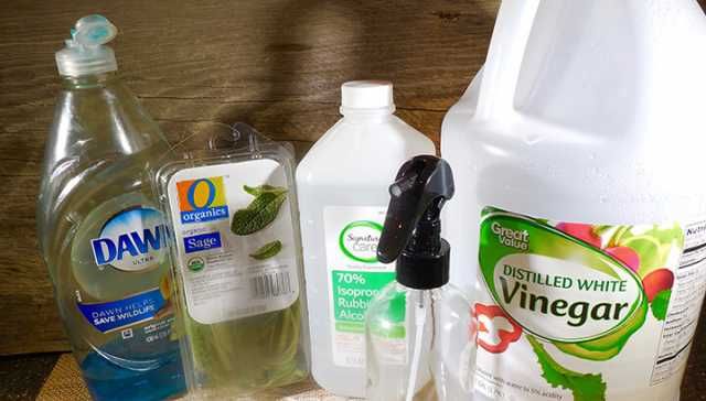 Eliminate Pesky Odors With This All-Purpose Fresh Sage Cleaning Spray