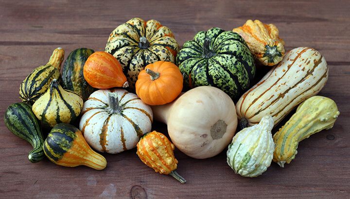 12 Fall Foods To Eat Now