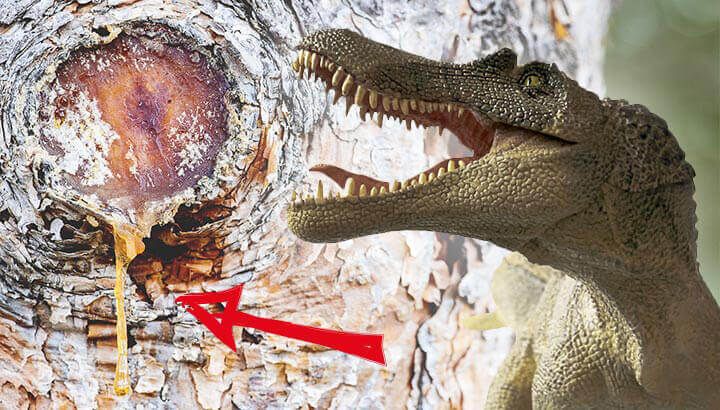 Can Dinosaurs Make A Comeback? Science Says Yes