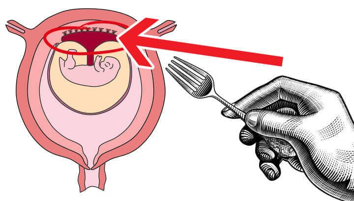 3 Health Benefits Of Eating Your Placenta