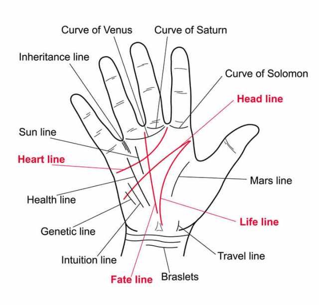 Do You Have An 'M' On Your Palm? Here’s What It Means