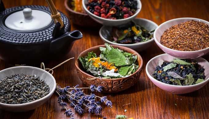 What's Lurking In Your Bagged Tea?