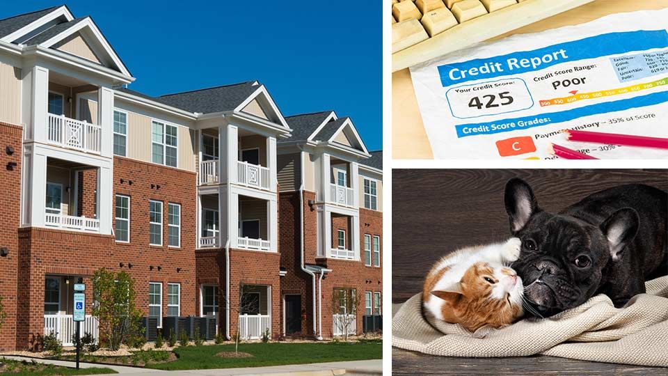 Top 10 Reasons No One Will Rent You An Apartment