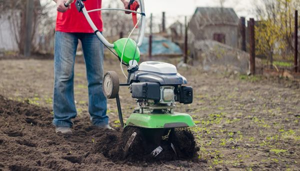 5 Mistakes You're Making In Your Garden (And How To Fix Them)