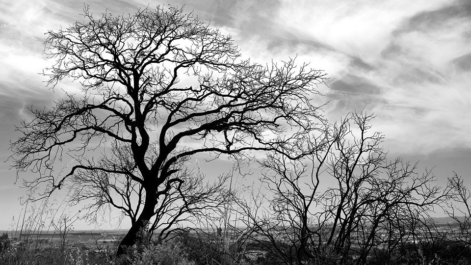 How I Survived An Entire Season Without Sun