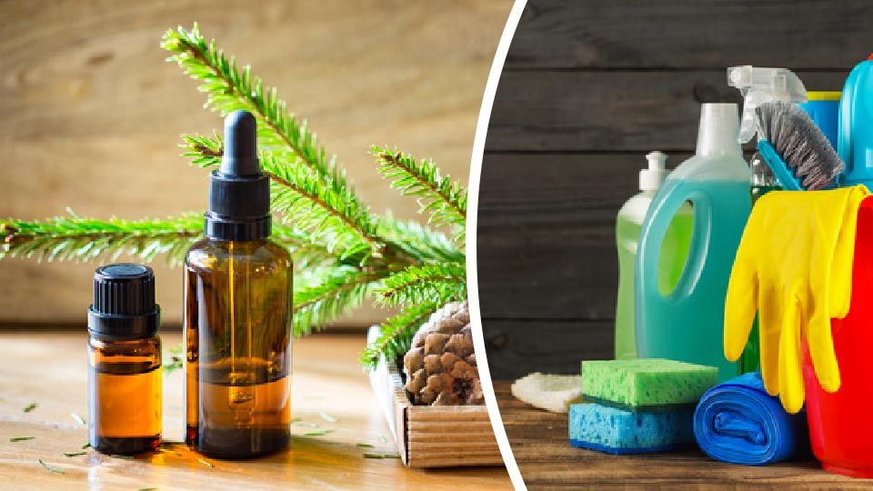 5 Essential Oils For Your House (And How To Use Them!)