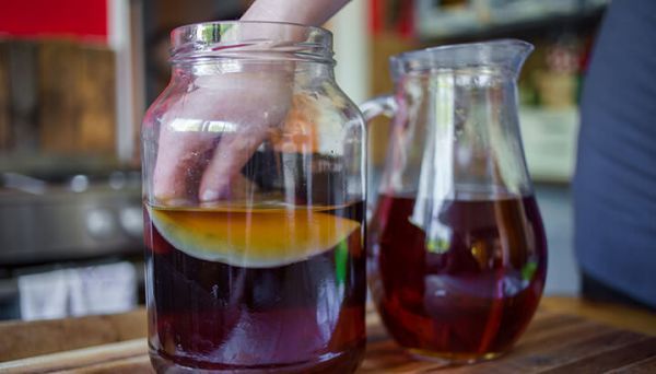 Dangers of Store Bought Kombucha (AND How to Make Your Own!)