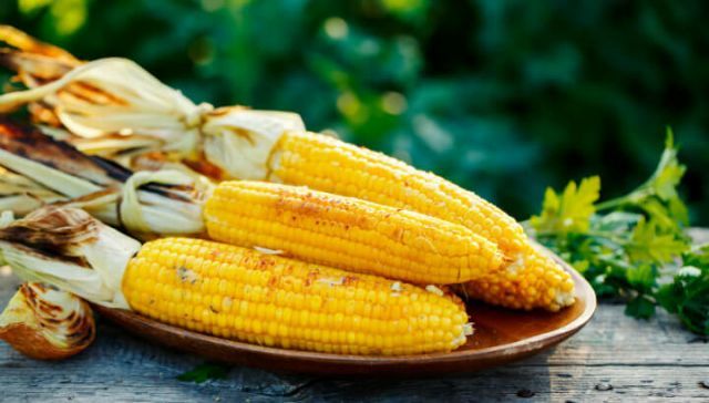 New Study: Processed Corn Loses Its Cancer-Fighting Properties (MUST READ)