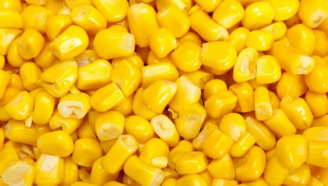New Study: Processed Corn Loses Its Cancer-Fighting Properties (MUST READ)